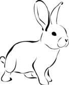 Free Rabbit Clipart Pictures - Clipartix