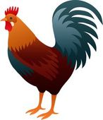 Rooster free clip art clipart 2 – Clipartix