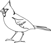 Cardinal Clipart Pictures – Clipartix