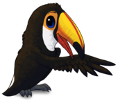Cartoon Toucan Pictures – Clipartix