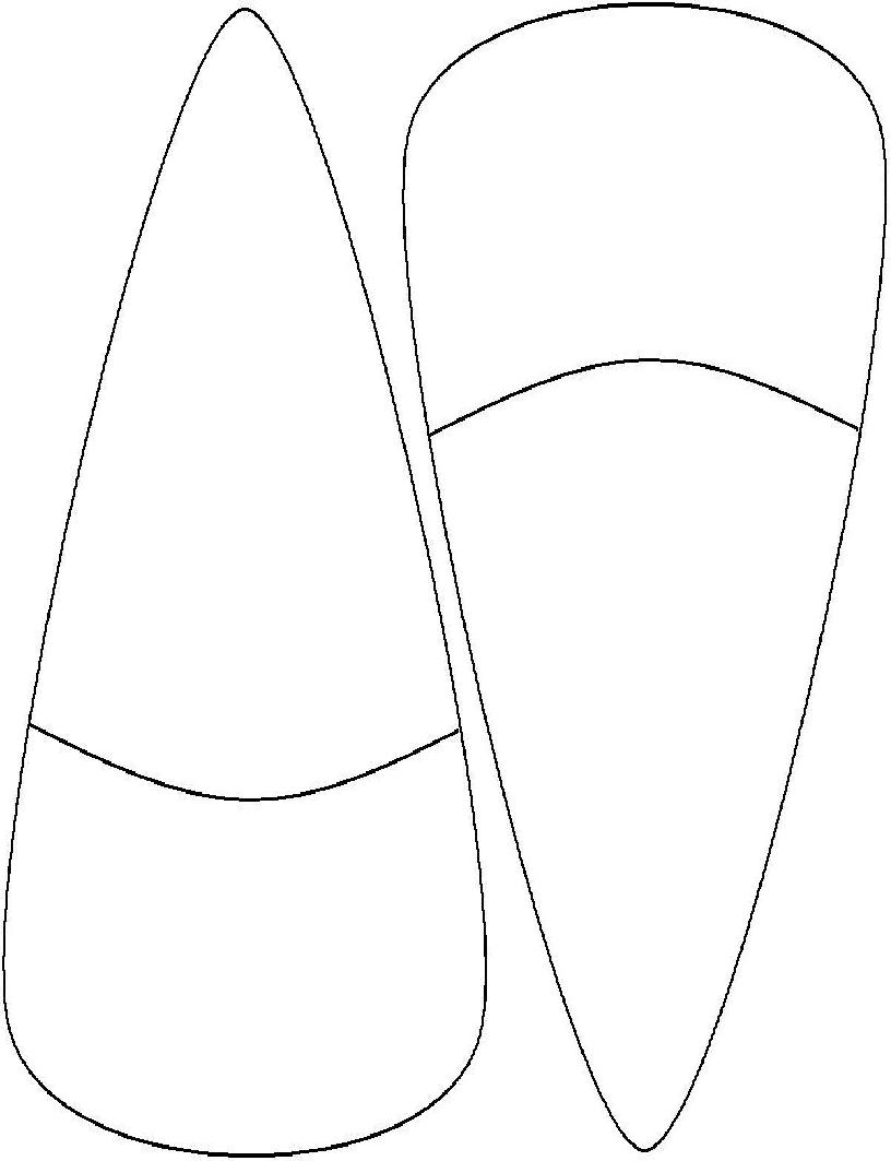 Turkey Feather Turkey Clipart Feather Template Pencil And In Color 