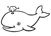 Free Whale Outline Pictures - Clipartix
