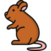 Rat mouse generic outline color clipart image – Clipartix