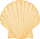Shell Clipart Pictures – Clipartix