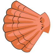 Shell Clipart Pictures – Clipartix